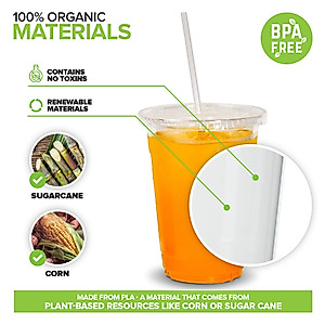 Stock Your Home 16 oz Clear Commercially Compostable Cups with Lids and Straws (Set of 50) Plant Based Cold Cups Eco Party Cup, Environmentally Friendly Recyclable Disposable Sustainable