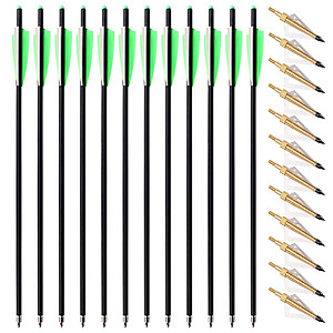 TOPARCHERY 12pcs 20inch Carbon Crossbow Arrows Crossbow Bolts with 4inch Vanes and 12pcs 3 Blades Archery Broadheads 125 Grain Screw-in Arrow Heads Arrow Tips (with Gold Color Tips)