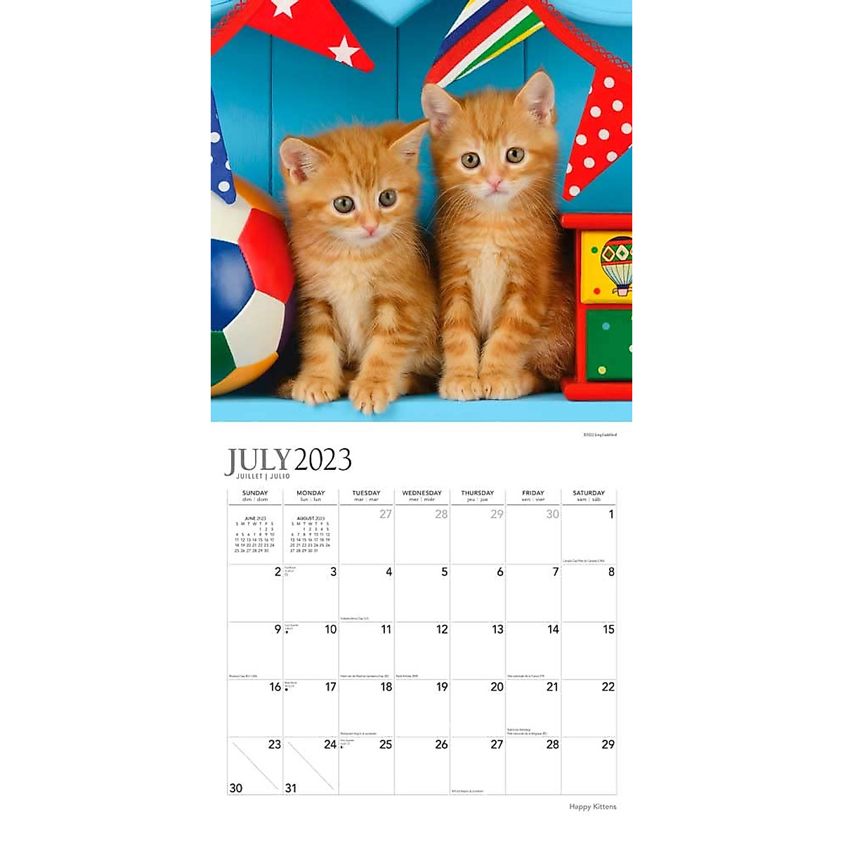 Happy Kittens | 2024 12 x 24 Inch 18 Months Monthly Square Wall Calendar | Foil Stamped Cover | July 2023 - December 2024 | Plato | Animals Cats Feline