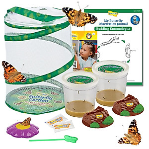 Butterfly Garden: Original Habitat and Two Live Cups of Caterpillars with STEM Butterfly Journal – Life Science & STEM Education – Butterfly Science Kit
