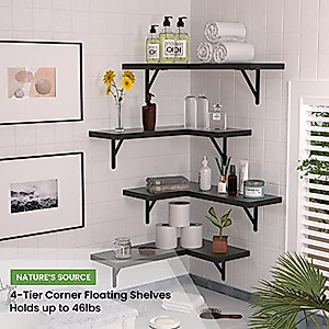 NATURE'S SOURCE Floating Corner Shelves Set of 7 Black