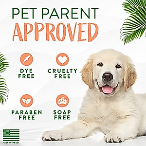 TropiClean 2-in-1 Papaya & Coconut Dog Shampoo and Conditioner | Natural Pet Shampoo Derived from Natural Ingredients | Cat Friendly | Made in the USA | 20 oz.