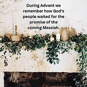 Advent - Bible Study Book: The Weary World Rejoices