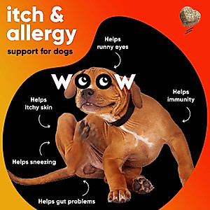 Dr Woow Allergy Relief & Itch Supplement for Dogs - with Omega 3 Wild Alaskan Salmon Oil and BettaBerries + YEA-SACC. Hot Spots, Anti Itch and Seasonal Allergies