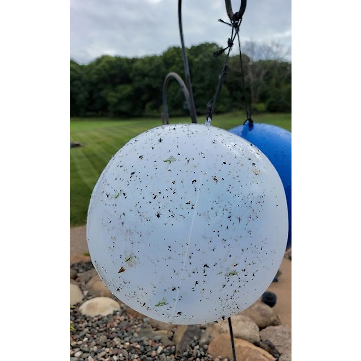 Bug Ball Mosquito Solar Light Ball Replacement Ball, 4 Pack - Odorless Eco-Friendly, Flying and Insect Trap with NO Pesticides or Electricity Needed, Kid and Pet Safe