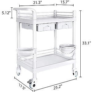 Mobile Trolley Cart, 2 Tier Heavy Duty Rolling Utility Cart with 360° Rotate Wheels, Medical Mobile Trolley Cart with Dirt Bucket & Drawer Spacious Beauty Salon Rolling Cart