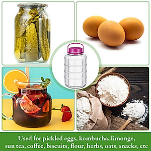 Bokon 2 Gallon Glass Jar with Lid and Handle Wide Mouth Airtight Dry Food Storage Pickling Mason Jar Glass Water Jug for Fermenting Sun Tea Kombucha Kefir Water Storing Canning (1 Pcs)