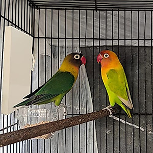 H&G lifestyles Bird Heater for Cage Snuggle Up Bird Warmer for Exotic Pet Birds 4.7X7.9 inch