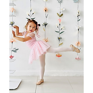 Stelle Ballet Shoes for Girls Toddler Ballet Slippers Soft Leather Boys Dance Shoes for Toddler/Little Kid/Big Kid (Ballet Pink, 2ML)