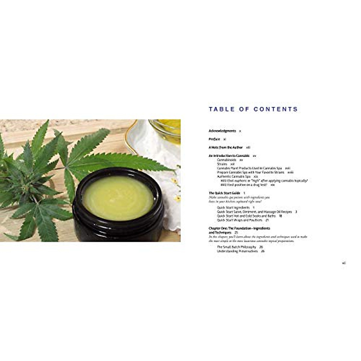 The Cannabis Spa at Home: How to Make Marijuana-Infused Lotions, Massage Oils, Ointments, Bath Salts, Spa Nosh, and More