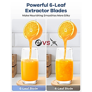 Ganiza Smoothie Blender, Blender for Shakes and Smoothies, 15-Piece Personal Blender and Grinder Combo for Kitchen, Smoothies Maker with 4 BPA-Free Portable Blender Cup, Nutritious Recipe, MAX 900W