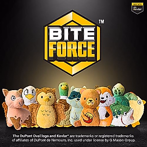 Bite Force Dog Chew Toys