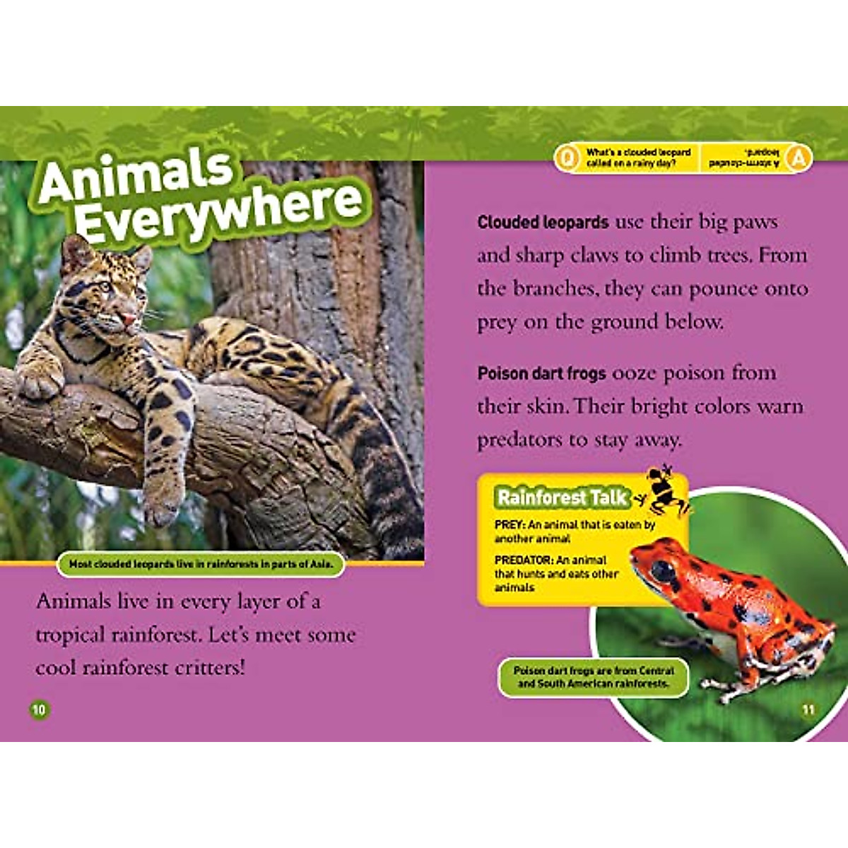 Rainforests (National Geographic Kids Readers, Level 2)