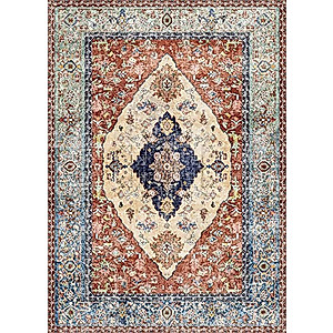 Valenrug Area Rug 5x7 - Stain Resistant Lightweight Washable Rug, Anti-Skid Rugs for Living Room, Boho Persian Area Rug(Multi, 5'x7')