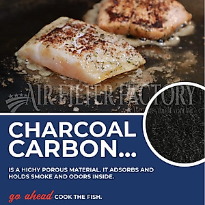 2-Pack Air Filter Factory Replacement For 5230W1A002A Charcoal Carbon Filters