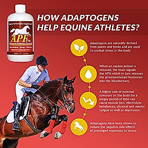 APF PRO Equine | Natural University-Level researched Horse Supplement | Gastric Health, Resistance to Stress, Immune Support, Muscle Health, Endurance