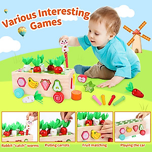 Montessori Toys for 1 2 3 Year Old Boy Girl Carrot Harvest Game Wooden Toy Preschool Educational Learning Toy Shape Sorter Toys Xmas Gifts for 1 2 3 year old Boy Girl Fine Motor Skill Game Toddler Toy