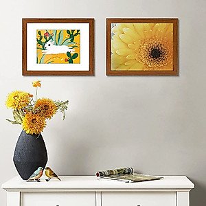 Golden State Art, 11x14 Brown Photo Frame-Display Photos 8x10 with Mat or 11x14 without Mat - Solid Wood, Real Glass (Wall Display) 2 Pack