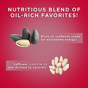 Audubon Park Cardinal Blend Wild Bird Food, Cardinal Bird Seed for Outside Feeders, 4-Pound Bag