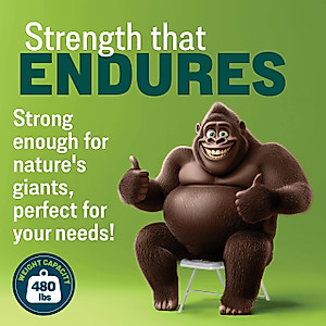 National Public Seating 2200 Series Steel Frame Upholstered Premium Fabric Seat and Back Folding Chair with Double Brace, 480 lbs Capacity, Model 2202 Graystone/Gray (Carton of 4)