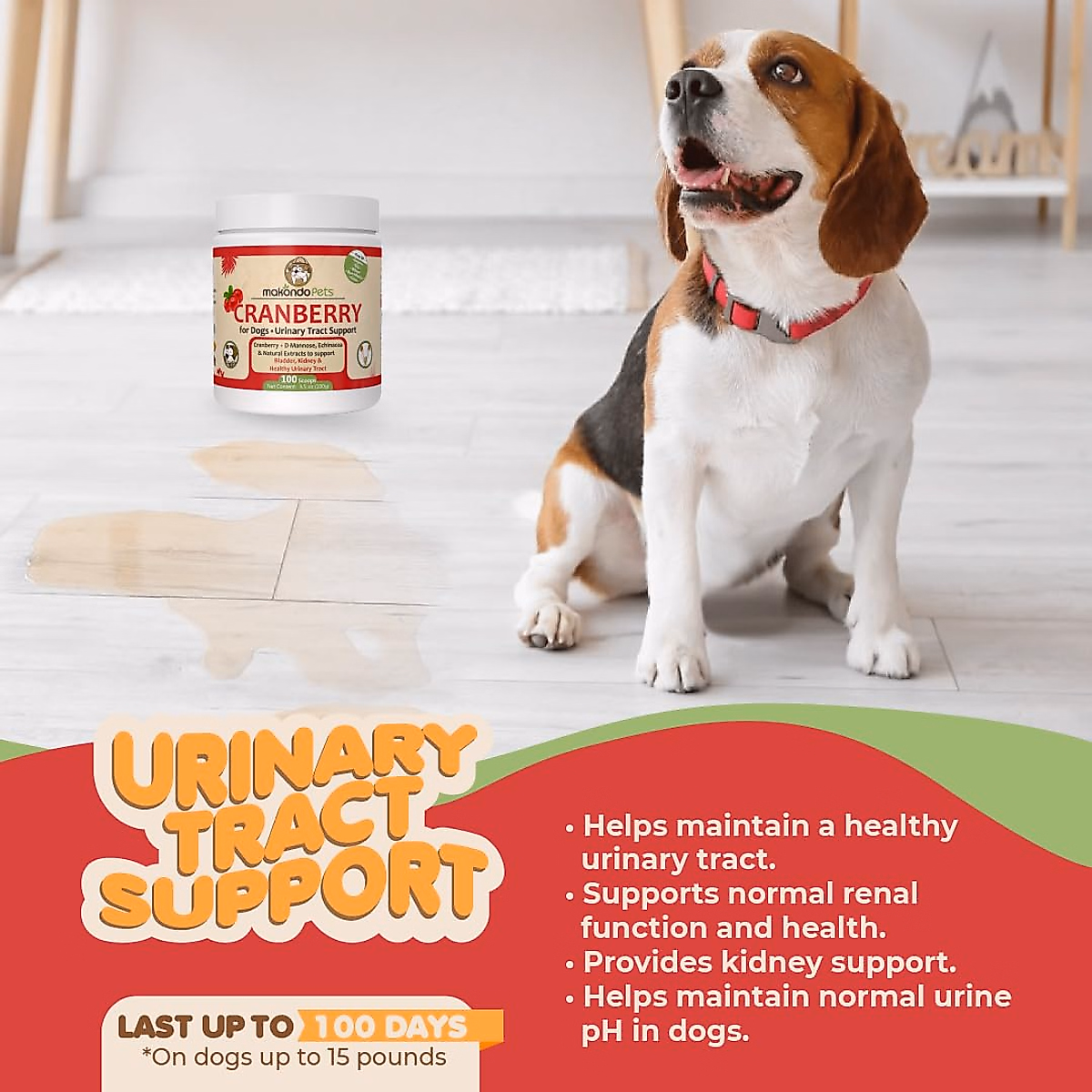 Dog Cranberry Supplement - Natural Dog UTI Treatment & Kidney Support for Dogs. Dog Supplement Powder Same as Cranberry Pills for Dogs. Puppy Supplies for Dog Pee Health - Dog Incontinence Product