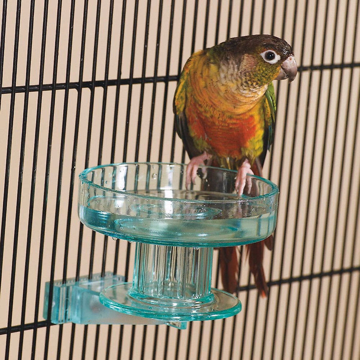 Lixit Quick Lock Bird Cage Bath for Lovebirds, Canaries, Finches, Parakeets, and Cockatiels and Other Small to Medium Feathered Friends (Pack of 1)