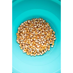 Amish Country Popcorn | Old Fashioned Microwave Popcorn | Ladyfinger Butter - 36 Bags | Non-GMO, Gluten Free, Microwaveable and Kosher (Ladyfinger Butter - 36 Bags)