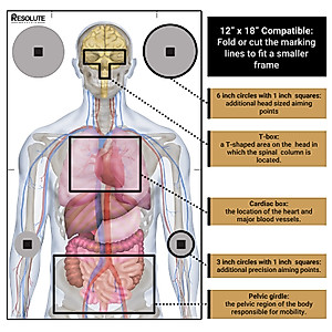 RESOLUTE (25) 23x35 Medically Designed Shooting Targets For The Range, 100% Anatomical Shooting Target, Targets For Pistol Shooting, Rifle, Air Pistols, Pellet Gun, Bb Gun, Airsoft Rifles, Airsoft Gun