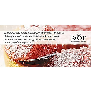 Root Candles 8870296 Honeycomb Veriglass Scented Beeswax Blend Candle, Large, Sugared Grapefruit