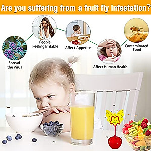 FGALL Fruit Fly Traps for Indoors,Fruit Flies Gnat Killer Yellow Sticky Traps,Effective Catcher Trap with Bait,Non-Toxic and Odorless Home,Kitchen,Plant,Indoor & Outdoor(2 Pack)