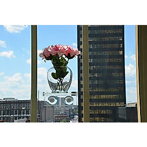 LaBrinx Designs Small Suction Cup Shelf - Live Plants, Windows, and Bathrooms