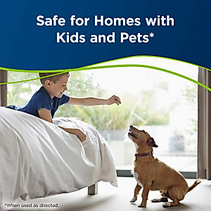 Bissell 74R7 Pet Stain & Odor Portable Machine Formula, 32-Ounce, Fl Oz