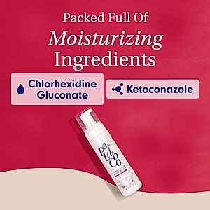 Petlab Co. Itch Relief Mousse - Moisturize, Deodorize, & Support Dry Skin with This Dry Dog Shampoo. Unique Quick-Dry Formula Delivers Support to Promote Coat Comfort