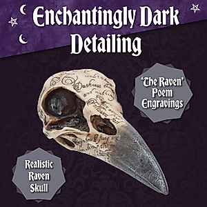 Nemesis Now Edgar's Raven Skull Figurine, Gothic Decor, Bird Skeleton, Hand-Painted Resin, Edgar Allan Poe Themed Ornament with Engraved Poem, 21cm