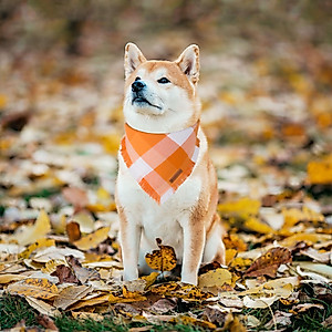 ADOGGYGO Fall Dog Bandanas, Halloween Thanksgiving Dog Bandana, Orange Plaid Dog Scarf, Multiple Sizes Offered, Fall Holiday Bandanas for Medium Large Dogs Pets (Fall, Large)