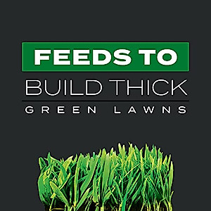 Scotts Turf Builder Triple Action1 - Weed Killer, Crabgrass Preventer, Lawn Fertilizer, 4,000 sq. ft. (2-Pack)