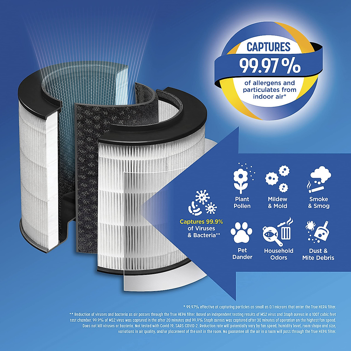 Clorox Medium Room Air Purifier True HEPA Replacement Filter, 1,000 Sq. Ft. Capacity, Removes 99.97% of Allergens up to 0.1 Micron, Compatible with 11030 & 11031, 1 Count (12030)