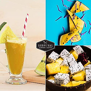 Survival Garden Seeds - Yellow Petite Watermelon Seed for Planting - Packet with Instructions to Plant and Grow Small Yellow Watermelons in Your Home Vegetable Garden - Non-GMO Heirloom Variety