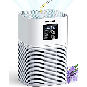 Air Purifiers, Air Cleaner For Home Large Room Bedroom Up To 600 sq.ft, VEWIOR H13 True HEPA Air Filter For Odor Pets Dander Dust Smoke Pollen, Ultra Quiet Air Purifier With Fragrance Sponge