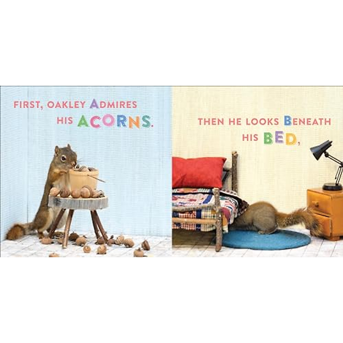 Oakley the Squirrel: The Search for Z: A Nutty Alphabet Book