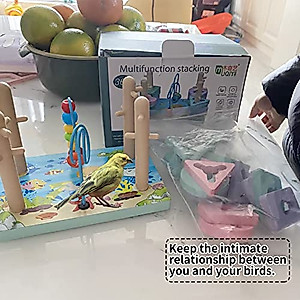 Bird Wooden Block Puzzle Toy Parrot Training Intelligence Toy Parakeet Perch Gym Playpen Stacking Rings Toy Mini Parrot Blocks Balls for Macaw Cockatile Cockatoos and Other Birds 