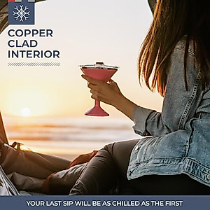 ORCA Stainless Steel Chasertini Martini Cup(8-oz)