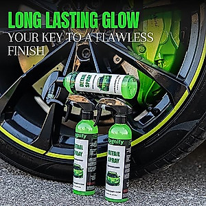 Ragnify- 2 Mesh Clay Mitt with Detailing Spray 16oz, Quick Waterless Detailer for Shine, Car Clay Bar, Gloss & Depth to Paint, Quick Detailer Kit (2x8 Oz Spray Bottles & 2 Mitts)