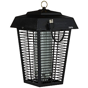 Flowtron BK-80D 80-Watt Electronic Insect Killer, 1-1/2 Acre Coverage & BF-150 Replacement Bulb for BK-80D, FC7600 and Wall Sconce Models