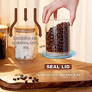 FyndraX Coffee Salts Sugar Container Jars, 15 Oz Glass Canister with Lids, Spoon and Labels for Tea, Nuts, Bath Salt, Spice, Overnight Oats and More Storage Canning, Pack of 3