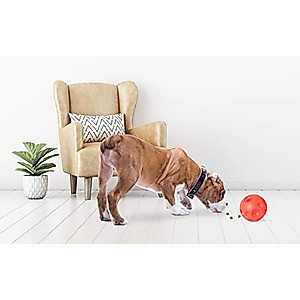 Omega Paw Authentic Tricky Treat Ball - Medium,Orange