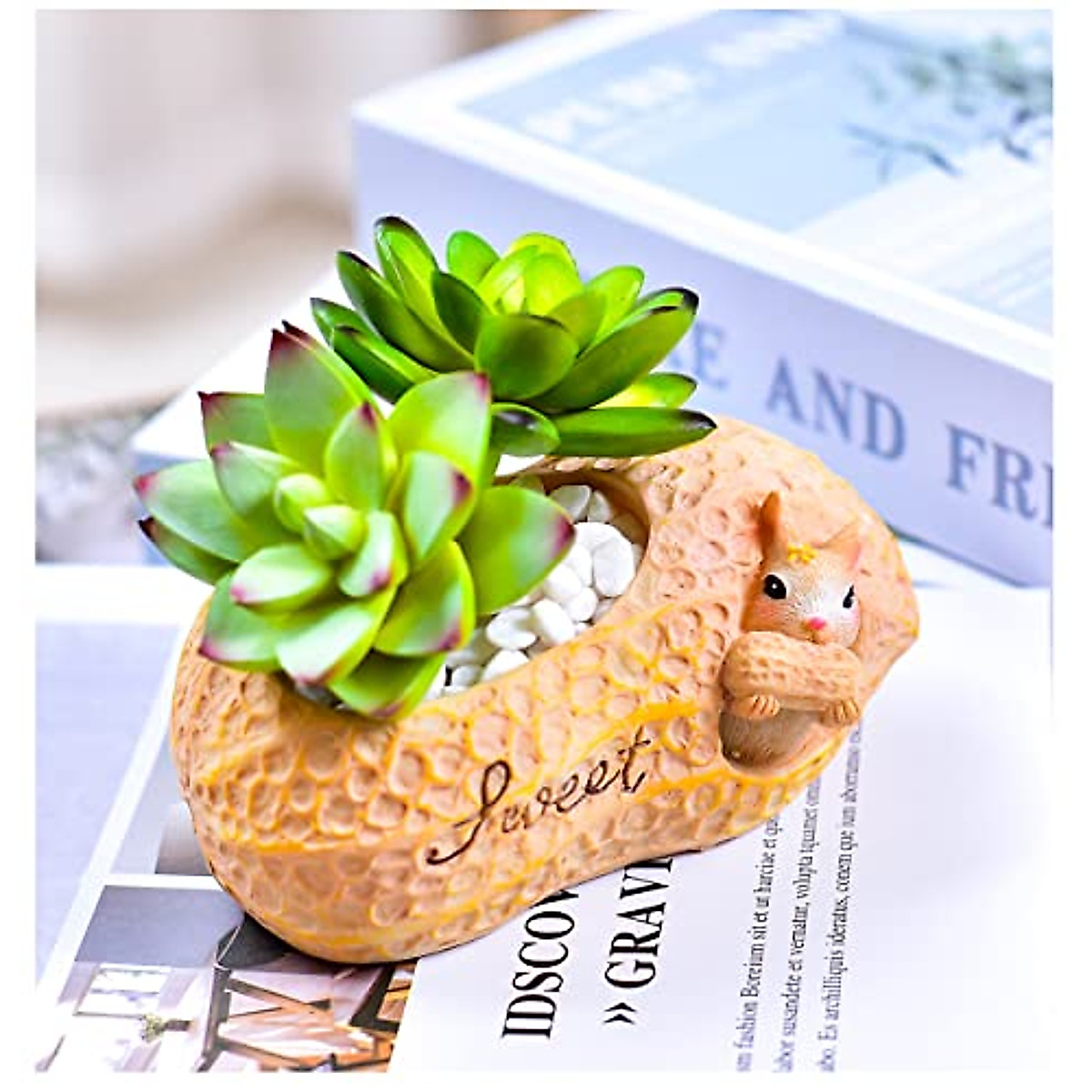 Cute Little Squirrel Flowerpot with Drainer Garden Flowerpot Resin Succulent Potted Bonsai Plant Stand Home Desk Mini Ornaments Cartoon Ornaments Does Not Contain Plants