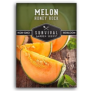 Survival Garden Seeds - Honey Rock Melon Seed for Planting - Packet with Instructions to Plant and Grow Sweet Delicious Cantaloupe Fruit in Your Home Vegetable Garden - Non-GMO Heirloom Variety