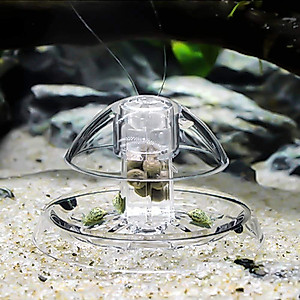 KVSERT 2 Pcs Snail Trap for Fish Tank Aquarium Plastic Clear Snail Trap Planarian Leech Catcher 6cm