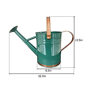 Metal Watering Can for Outdoor and Indoor Plants, Watering Can Decor, 1 Gallon (1 Gallon Green2)